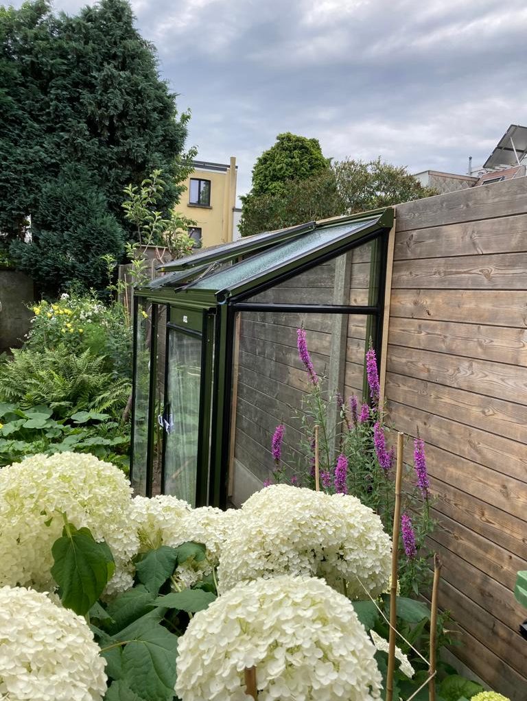 Miccolo M04 - Serre ACD